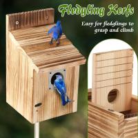 China Customized Logo Acceptable 2 Pack Cedar Bluebird Box Houses for Outside for sale