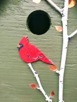 China Hand Painted Cardinal And Birch Trees TIMBER Wood Birdhouse For Bird Conservationists for sale