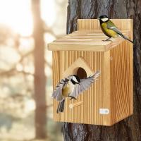 China Bluebird Nesting Box with Wooden Construction and Waterproof Spray Paint Treatment for sale