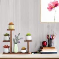China Living Room Display Rack for Succulent Herbs Square Environmental Flower Shelf Holder for sale