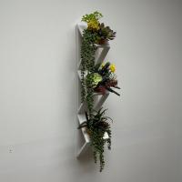 China Succulent or Herb Garden Wooden Wall Planter in White with Customized Logo Acceptable for sale