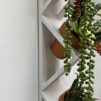 China Succulent or Herb Garden Wooden Wall Planter in White with Customized Logo Acceptable for sale