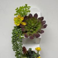 China Succulent or Herb Garden Wooden Wall Planter in White with Customized Logo Acceptable for sale