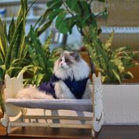 China Cat Hammock with Two Removable Covers and Raised Wooden Frame Customized Logo Acceptable for sale