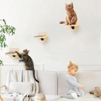 China Dog Training 3-Packs Cat Climbing Shelves Wall Mounted Cat Wall Steps with Scratching Pad for sale