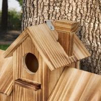 China Wooden Outdoor 3 Hole Bird House Handmade from TIMBER for Garden Habitat for sale