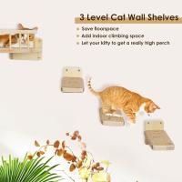 China Stain Color Wall-Mounted Cat Shelves and Perches Sustainable Wood Design Wall-Mounted for sale