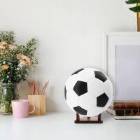 China Solid Wood Custom Logo Ball Display Stand for Football Basketball Soccer Volleyball for sale