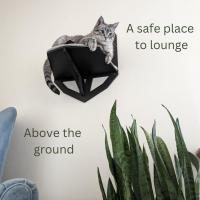 China Function Save Space Wall Mounted Cat Shelf with Shelves Perches and Hanging Bed for sale
