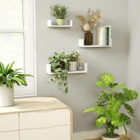 China NO Folded Floating Shelves in Modern Stylish Design for Storing and Displaying Images for sale