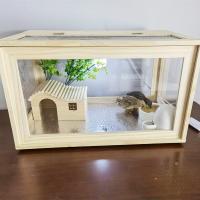China Other Gift Craft Popular 50X30X30Cm Hamster Cage And Habitat Playground Rutin Chicken Feeding Box for sale