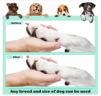 China Save Time and Space 202407 Dog Scratch Pad Board for Nails for sale