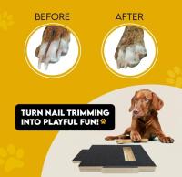 China OEM Dog Scratch Pad With Treat Box Dog Nail Scratch Board With Handle Cat Scratching Board for sale