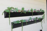 China Long Square Wooden Wall Planter for Modern Succulent Display in Indoor Outdoor Garden for sale