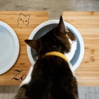 China 15-Degree Tilt Pet Bowl Stand Customized Wood Printing Laser Engrave Two Removable Bowls for sale