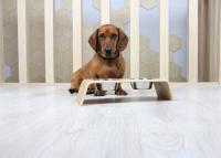 China 202407 Pet Gift Personalized Wooden Raised Food Stand with Two Stainless Steel Bowls for sale
