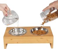 China Functional Raised Stand Cat Food and Water Bowls Diner Pet Feeder for Busy Pet Owners for sale