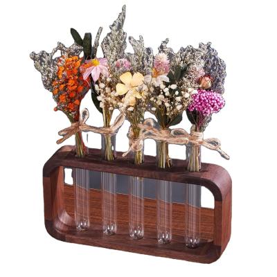 China Space-Saving Hydrophilic Plants Vase with High Quantity Advantage in Transparent Glass for sale