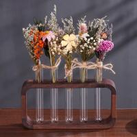 China Space-Saving Hydrophilic Plants Vase with High Quantity Advantage in Transparent Glass for sale