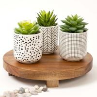 China Acacia Wood Riser Round Pedestal Riser Board Wood Pedestal Stand for Kitchen Display for sale
