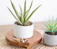 China Acacia Wood Riser Round Pedestal Riser Board Wood Pedestal Stand for Kitchen Display for sale
