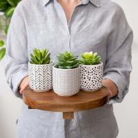 China Acacia Wood Riser Round Pedestal Riser Board Wood Pedestal Stand for Kitchen Display for sale
