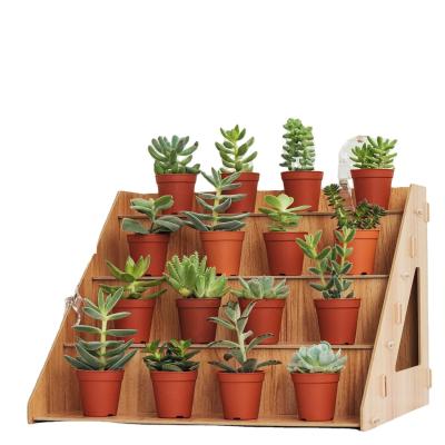 China Functional Wooden Cupcake Stand for Displaying Cakes and Plants Sample Charge Free for sale