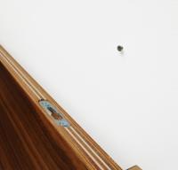 China Modern Rounded Edge Wood Shelves OEM Curved Walnut Floating Ledge Shelf for Home for sale