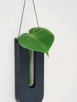 China Propagation Station Modern Mini Wooden Box Wall Planter for Porch and Wall Decor Pots for sale