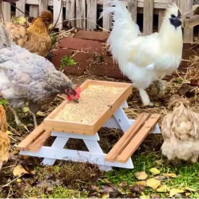 China Pet Feeder Mini Picnic Table Chicken Feeder for Small Animals NO LCD Display for sale
