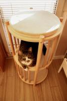 China Function Save Space Solid Wood Kitty Nest 2 Tier Cat Furniture Tree Cat House Cave Bed for sale