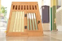 China Natural Wood Color Wooden Indoor Dog Cat House Crate with Door in White for sale