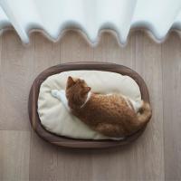 China Plain Wooden Box Rectangle Pet Bed with Anti-Slip Design and Easy Care Structure for sale