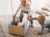 China Wooden Toy Box on Wheels Customized as Per Your Request for Kids' Toys Organization for sale