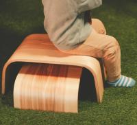China Portable Wood Toddler Stool Custom Logo Two Stepladder for Kitchen PANEL Toilet Steps for sale