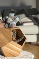 China Household Storage Container Cat Bed Cave in Modern Design with Solid Wood and Side Table for sale