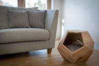 China Household Storage Container Cat Bed Cave in Modern Design with Solid Wood and Side Table for sale