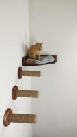 China Household Wall Mounted Cat Play House with Tower Cattery Bed in Natural Wood Color for sale
