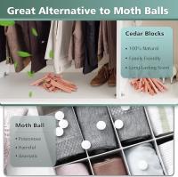 China Organize Your Closets and Drawers with Aromatic Cedar Blocks Common Size or Custom for sale