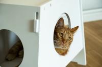 China Wooden Stool Home Appliance Modern Indoor Pet Cage House for Dog and Cat Living Room for sale