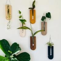 China Modern Design Style Propagation Station for Wooden Wall Planter and Home Decor for sale