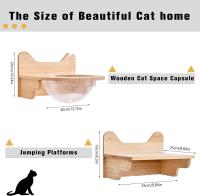 China Wall-Mounted Wooden Cat Space Capsule House Transparent Furniture Set for Indoor Cats for sale