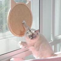 China Animal Playing Cat Tree House Furniture with Modern Design and Laser Engrave Printing for sale