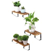 China Rustic Wood Wall Shelf for DIY Book and Small Plants Organization in Handmade Design for sale