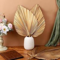 China Vitalucks Logo Eco-Friendly Compostable Hand 4 Pcs Large Natural Gold Dried Palm Leaves for sale
