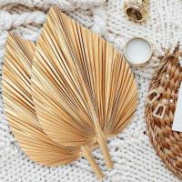 China Vitalucks Logo Eco-Friendly Compostable Hand 4 Pcs Large Natural Gold Dried Palm Leaves for sale