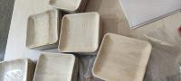 China Eco-Friendly 20 Pack Biodegradable Palm Leaf Plates 10 Inch Square Sturdy Like Bamboo Disposable Elegant for sale