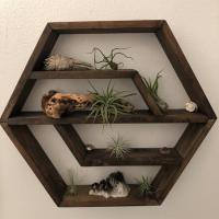 China Hexagon Solid Wood Floating Shelf Modern Design for Bedroom Livingroom and Kitchen for sale