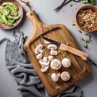 China Mini Acacia Wood Cutting Board with Circle Food Wooden Design and Knife Holder for sale