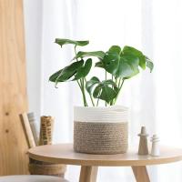 China Keep Your Home Organized Round Foldable Cotton Rope Storage Basket for Various Items for sale